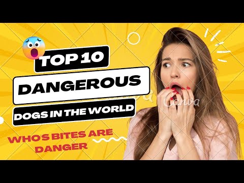 10 sabse khatarnak Kutte || Top 10 Dangerous Dogs in the World || Who's ...