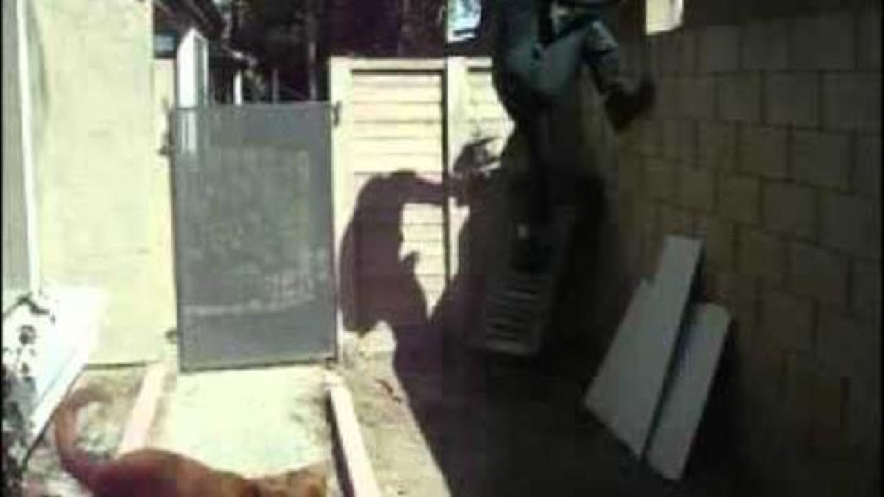 Wall Running Practice - Ninja Wall Jumps - YouTube