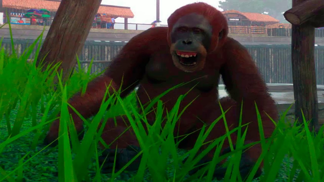 FUNNY ANIMAL SCENES - PLANET ZOO - YouTube