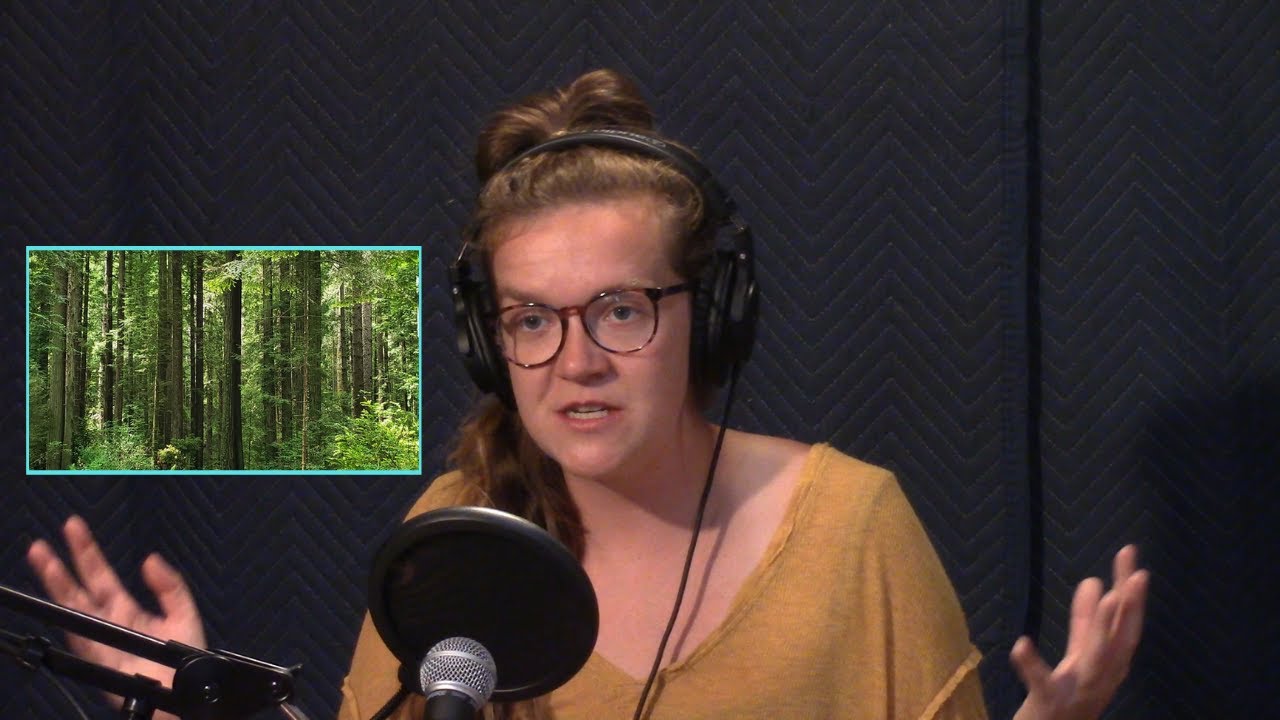 Sarah Schaefer on her Plan for Arcata - YouTube