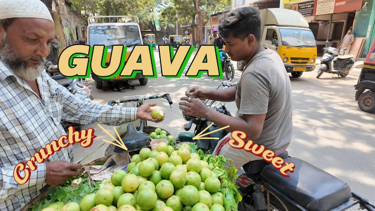 Guava Man 🍏 Sweet Tasty FRESH GUAVA Seller INDIA 🍏 - YouTube