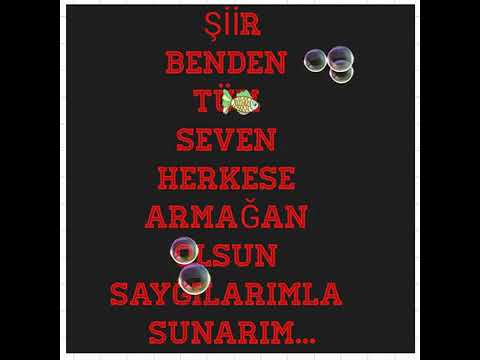 Alyazmalım Damar Şiir