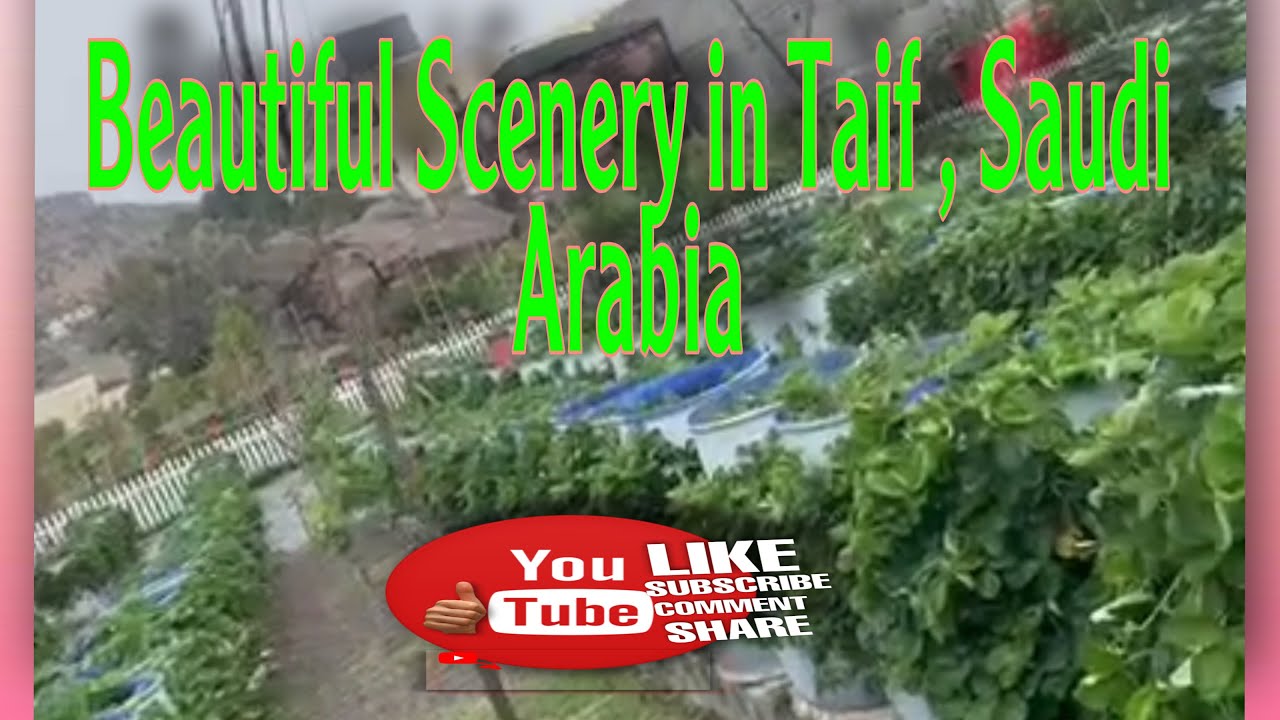 Beautiful Scenery .. Taif Saudi Arabia @jinggalingc - YouTube