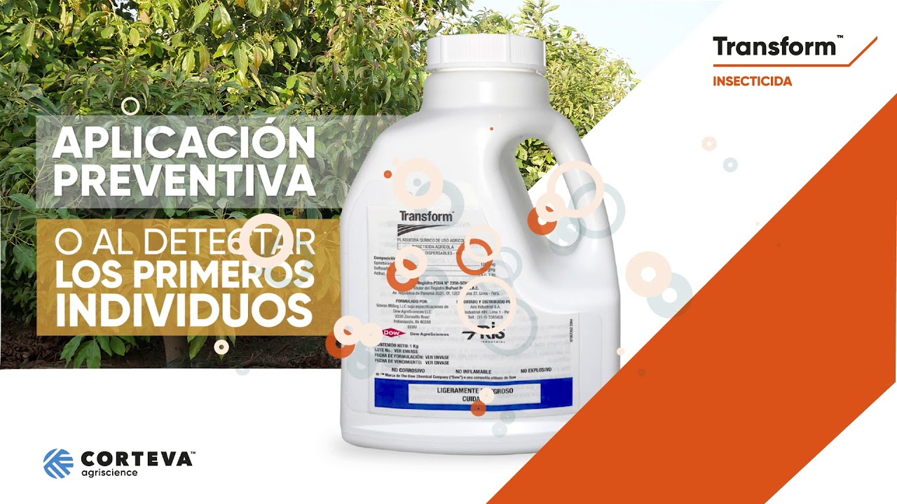 Transform™: Insecticida en el cultivo del Aguacate - Perú - YouTube