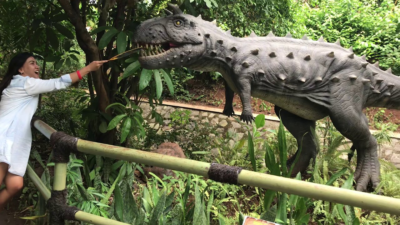 Anak kadal nakal - YouTube