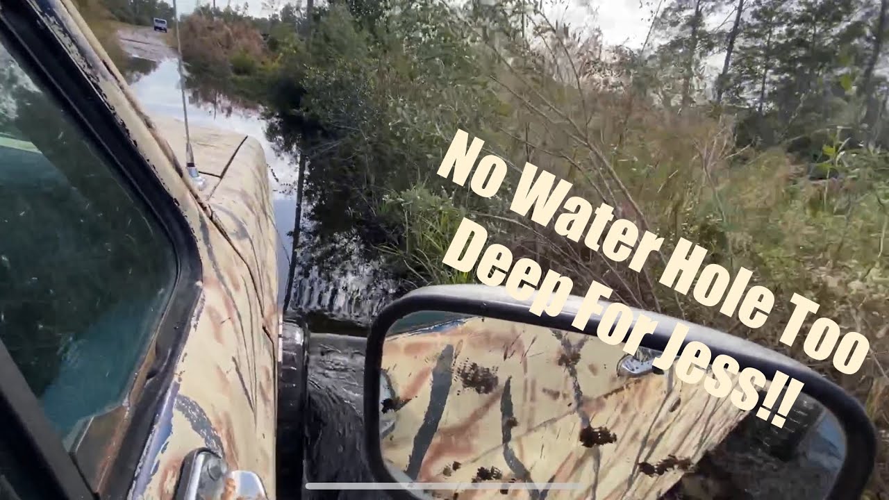 No Gators Here!!! - YouTube