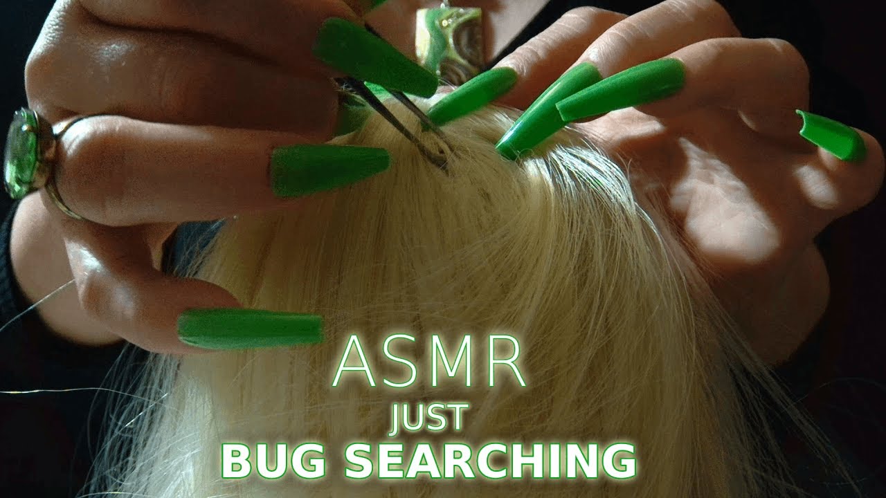 ASMR on a Wig| 1 Hour of Insistent Bug Searching/Scalp Check w/ Minimal ...