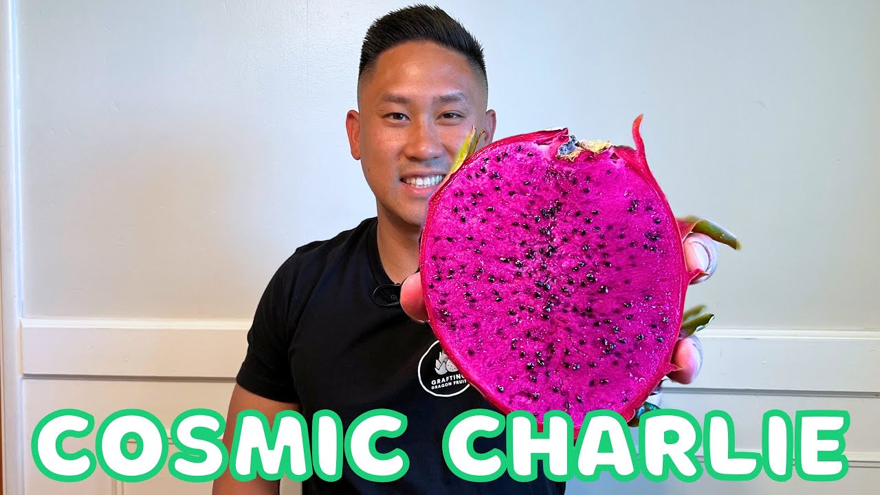 I NEEDED A MOMENT OF SILENCE! Cosmic Charlie Dragon Fruit Variety Taste ...