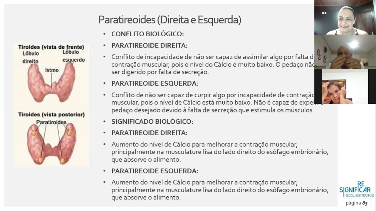 Absorção de Cálcio - YouTube