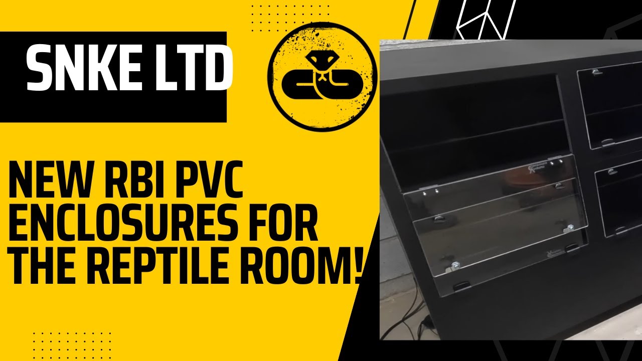 4x2 Enclosures: Discover the Basics of Reptile Room Transformation ...