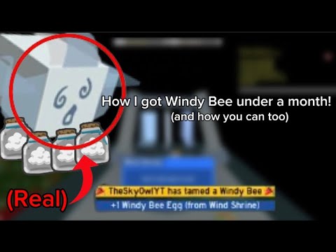 Tips and tricks to getting Windy Bee! - YouTube