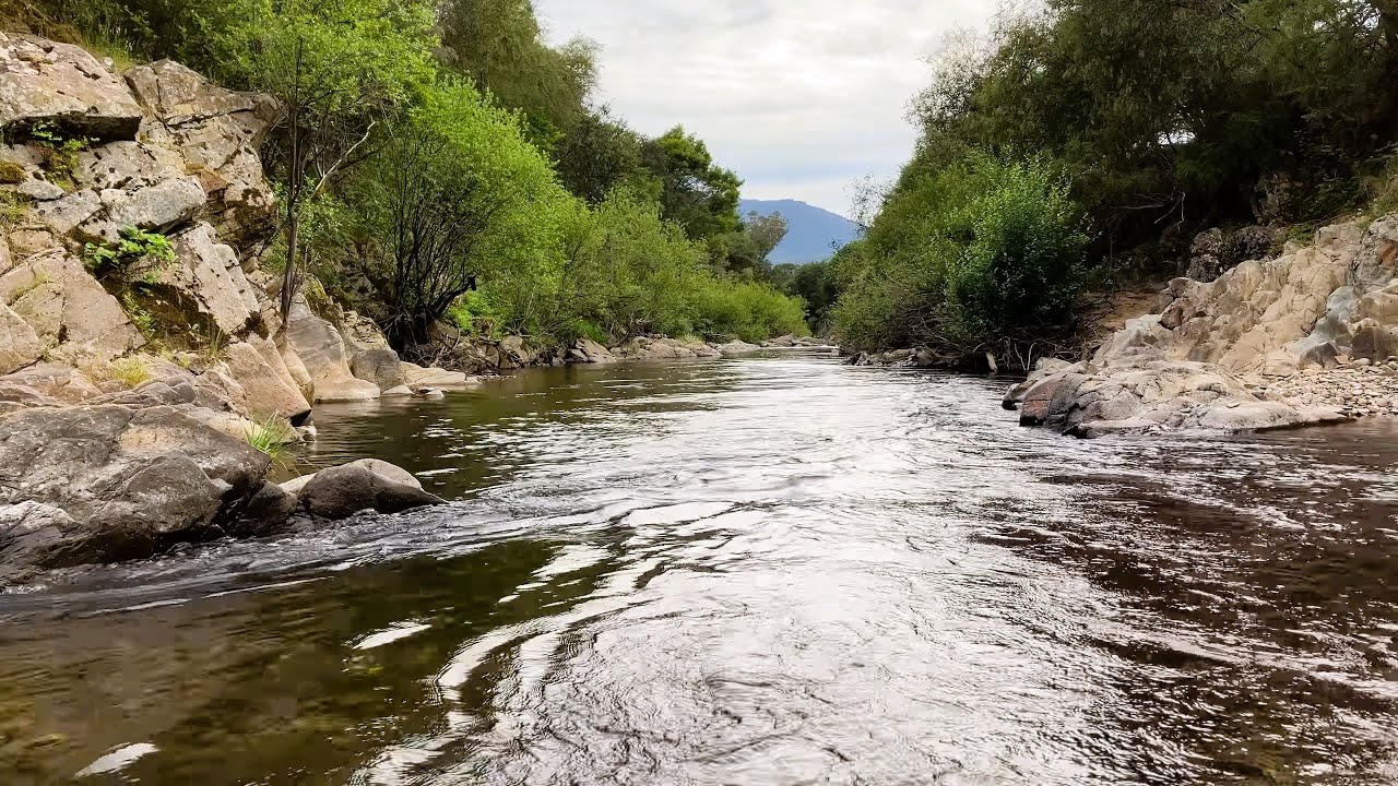 Gentle River Sounds for Relaxation | An Overcast Day in Victoria's High ...
