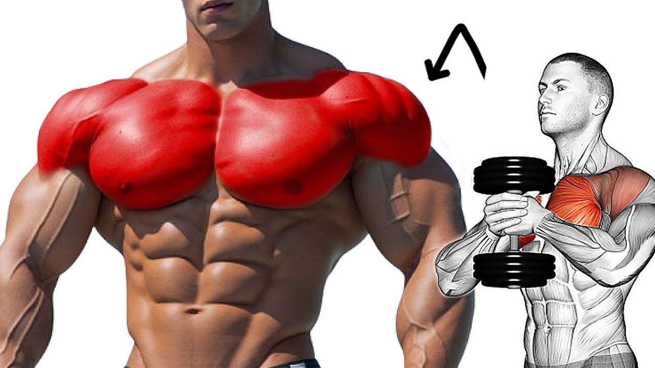 Science Based Chest and Shoulders Workout Method for Muscles ...
