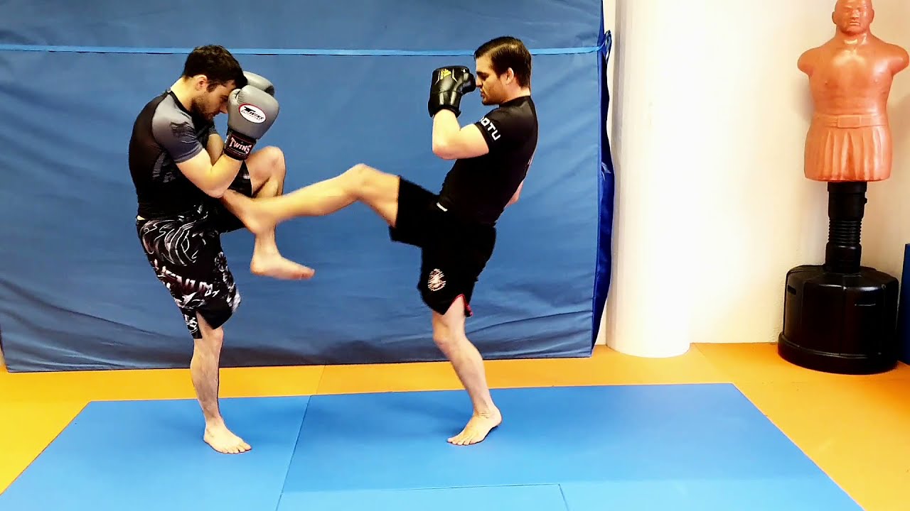 LowKick Defense & Counter - MMA Striking Muay Thai KickBox Basics - YouTube