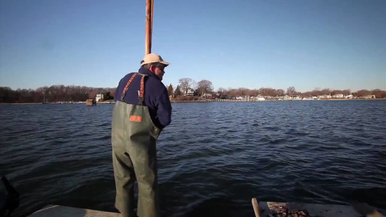 Hand tonging for oysters on the Chesapeake Bay - YouTube