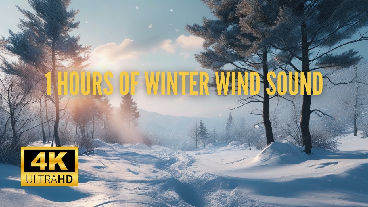 1 Hour of Winter Wind Sounds | Whispering Ambience for Relaxation ...