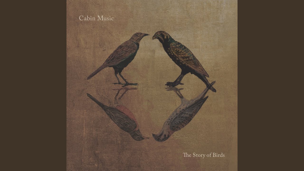 The Story of Birds - YouTube