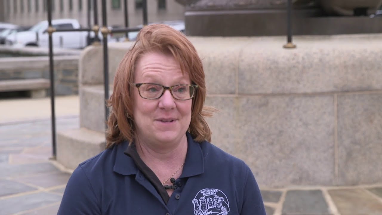 Walter Reed Bethesda Holds a Blessing of the Facility Dogs - YouTube