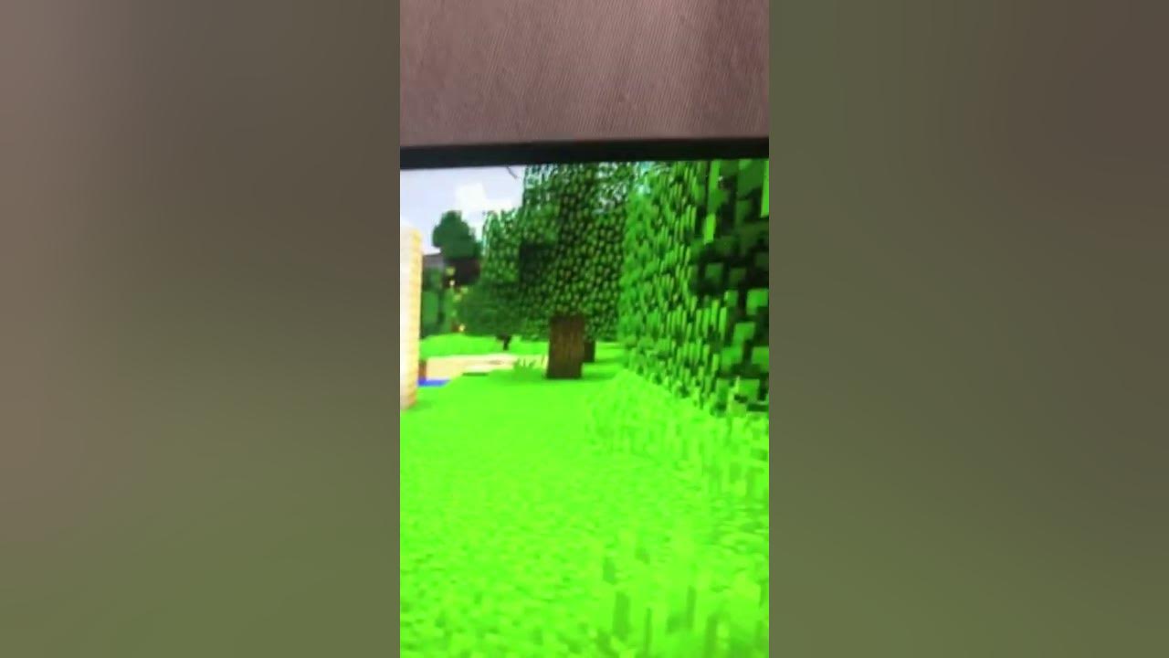 Aphmau Is The Queen Bee In Minecraft 🐝 Youtube