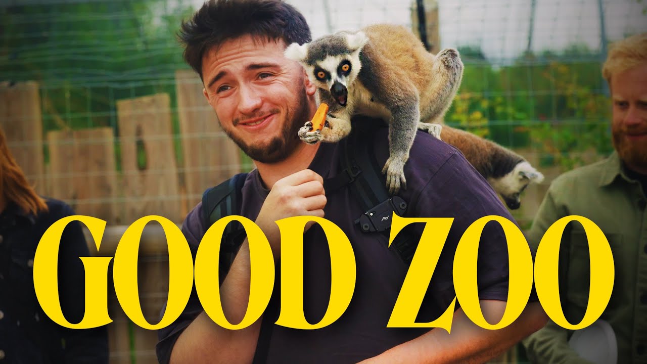 Good Zoo - Sony A7Siii - YouTube