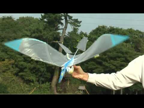 Sordes 5-5 second Flight Pterosaur Ornithopter RC - YouTube