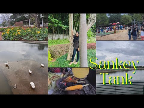 Captivating Beauty Of Sankey Tank Bangalore | Bangalore Episode 7 - YouTube