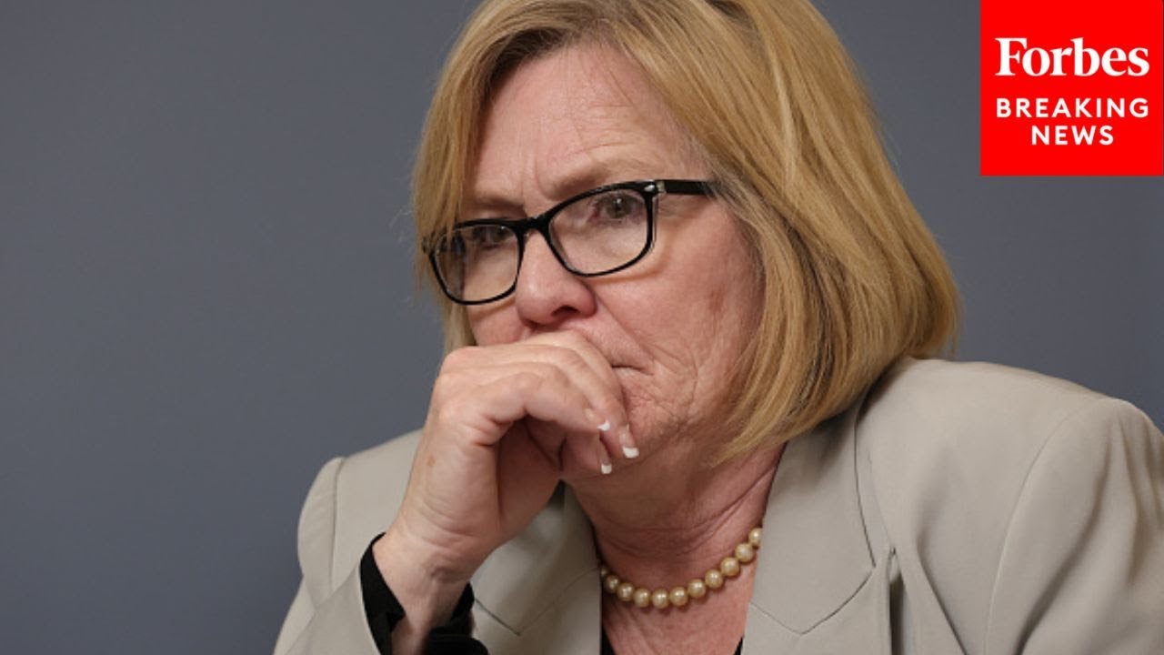 Michelle Fischbach Calls Out Dems For Trying To Create ‘Horrible ...