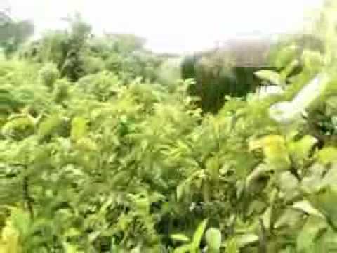 Another masterpiece from Uganda