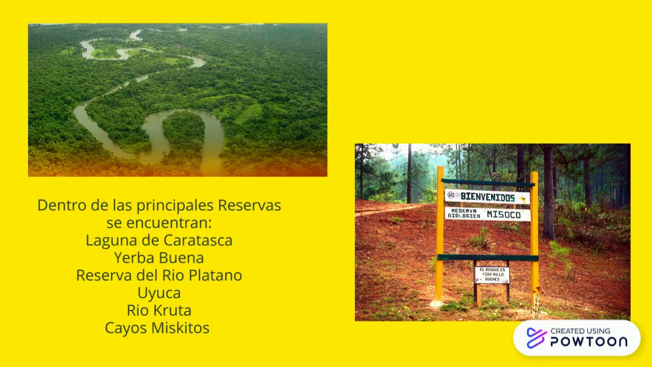 AREAS PROTEGIDAS DE HONDURAS - YouTube