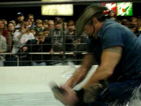 Gator Wrestler - YouTube