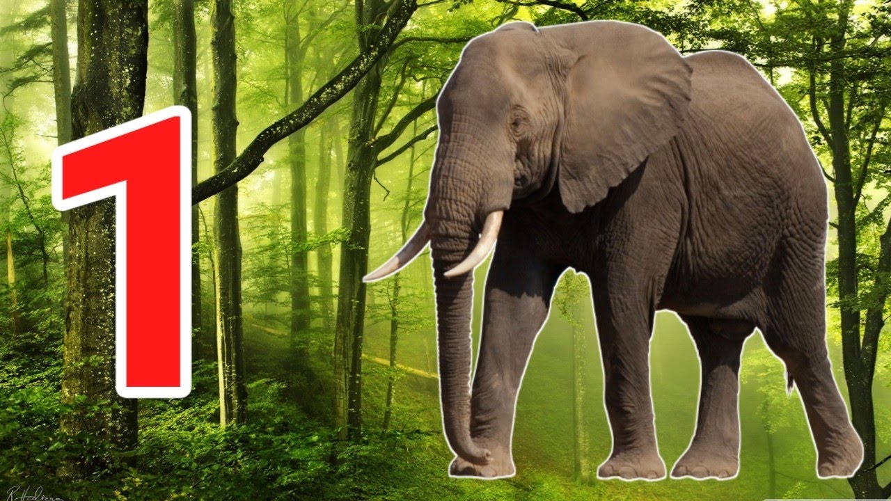 1 से 10 तक गिनती याद करना सीखें l Numbers-LEARN to Count from 1 to 10 ...