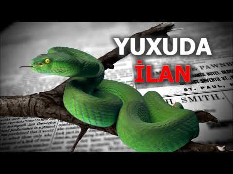 ilan yuxu yozma -  yuxuda  qara  ilan -  ağ ilan - sari ilan -  yasil ilan - yuxuda ilan gormek