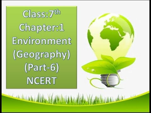 Class 7- Chapter 1 Geography (Part 6): Environment (NCERT) - YouTube