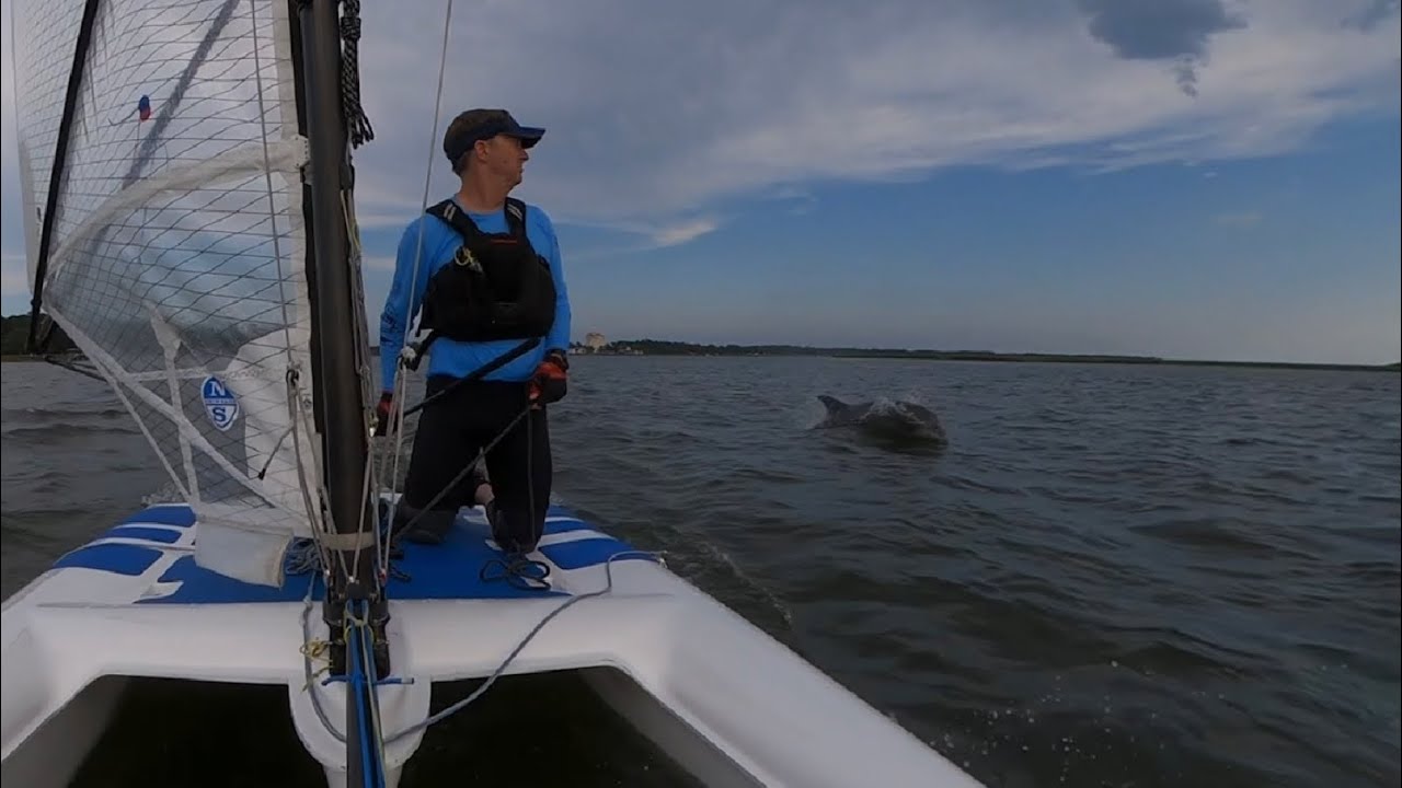 Sublime evening foiling with dolphins - YouTube