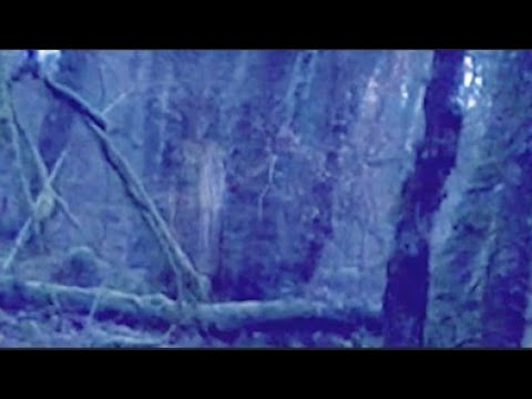 "video ghosts or ghosts in video" re-edit of: Ghost caught on camera in ...