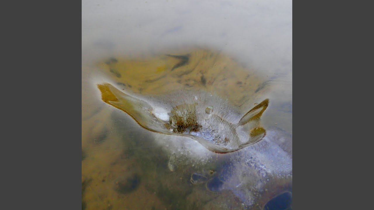 life after humans - YouTube