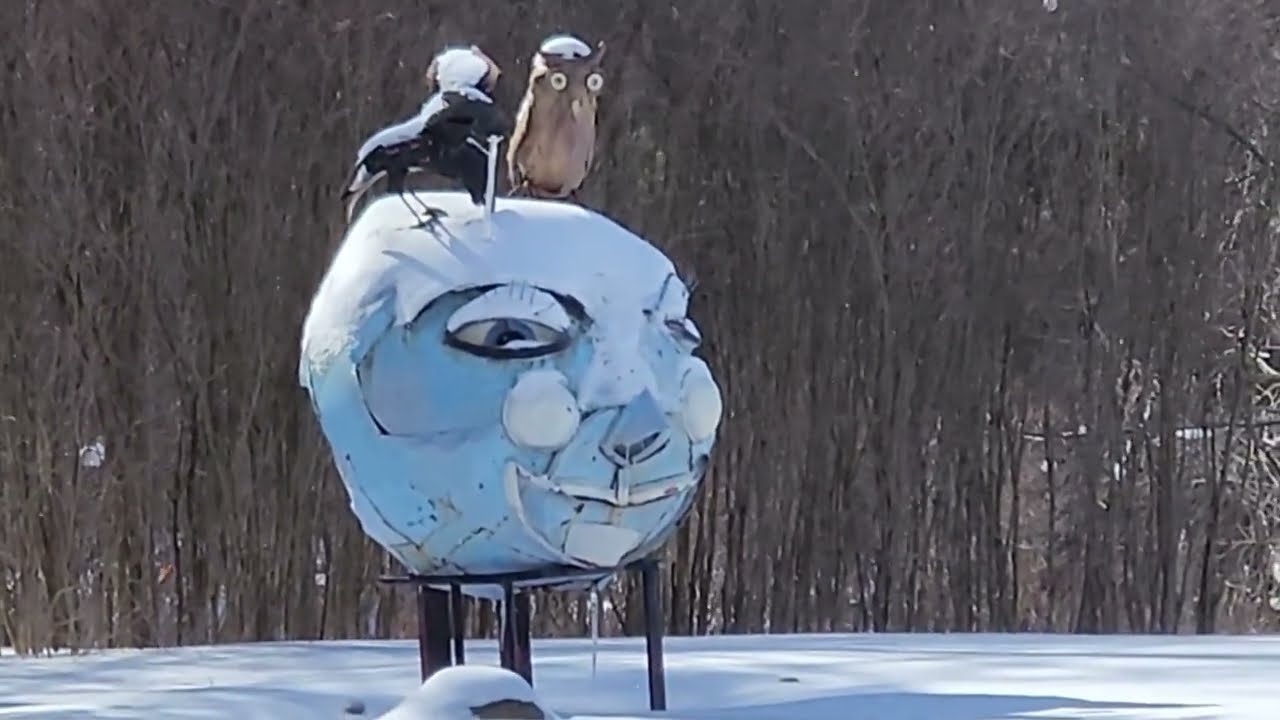 Lime hollow nature center - YouTube