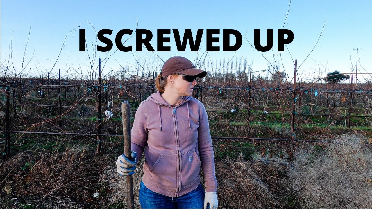 I Really SCREWED UP YouTube i-really-screwed-up-youtube