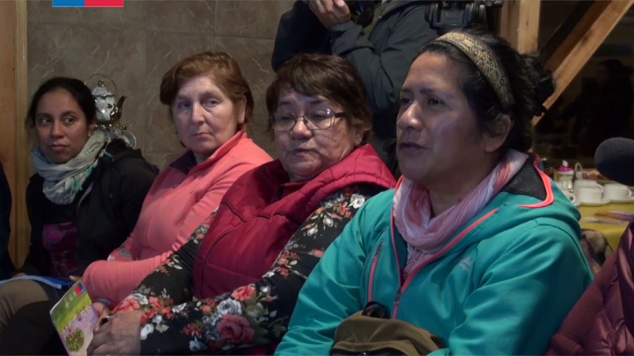Encuentro de Recolectores y Recolectoras en Puerto Ibáñez - YouTube