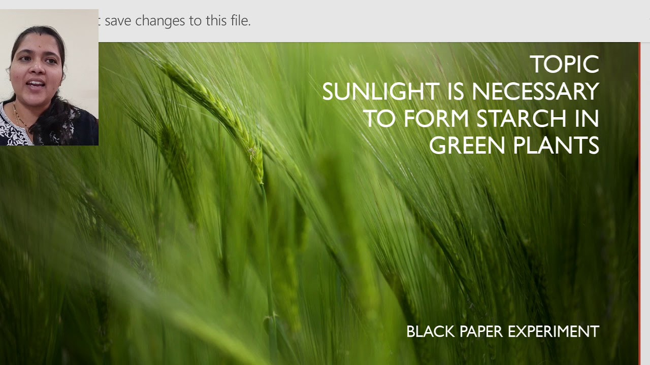 Sunlight is necessary to form starch in plants (black paper experiment ...