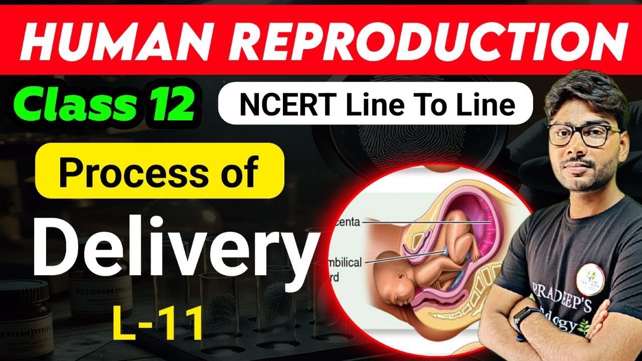 PARTURITION | Human Reproduction | Human Reproduction class 12 | NEET ...