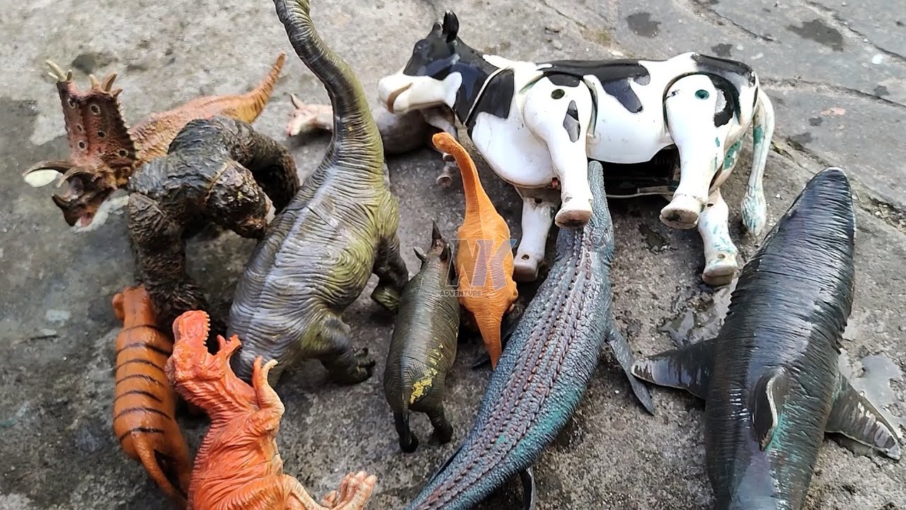 Let’s Clean Dirty Dinosaur : Megalodon, Trex, Kingkong, Mosasaurus, Cow ...