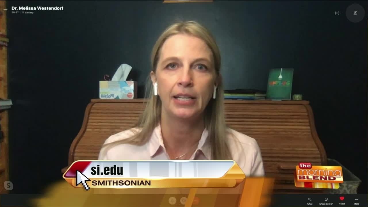 Free Resources to Supplement Your Child's Education - YouTube