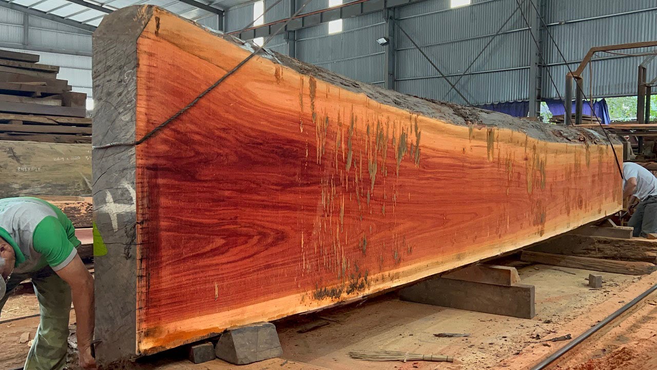 The World's Largest Wood Processing Factory_ Giant Wood Sawing Machine ...