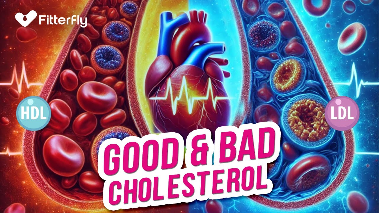 Good vs. Bad Cholesterol: Why It's Not All Bad for Your Health - YouTube
