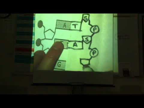 DNA Replication Foldable - YouTube