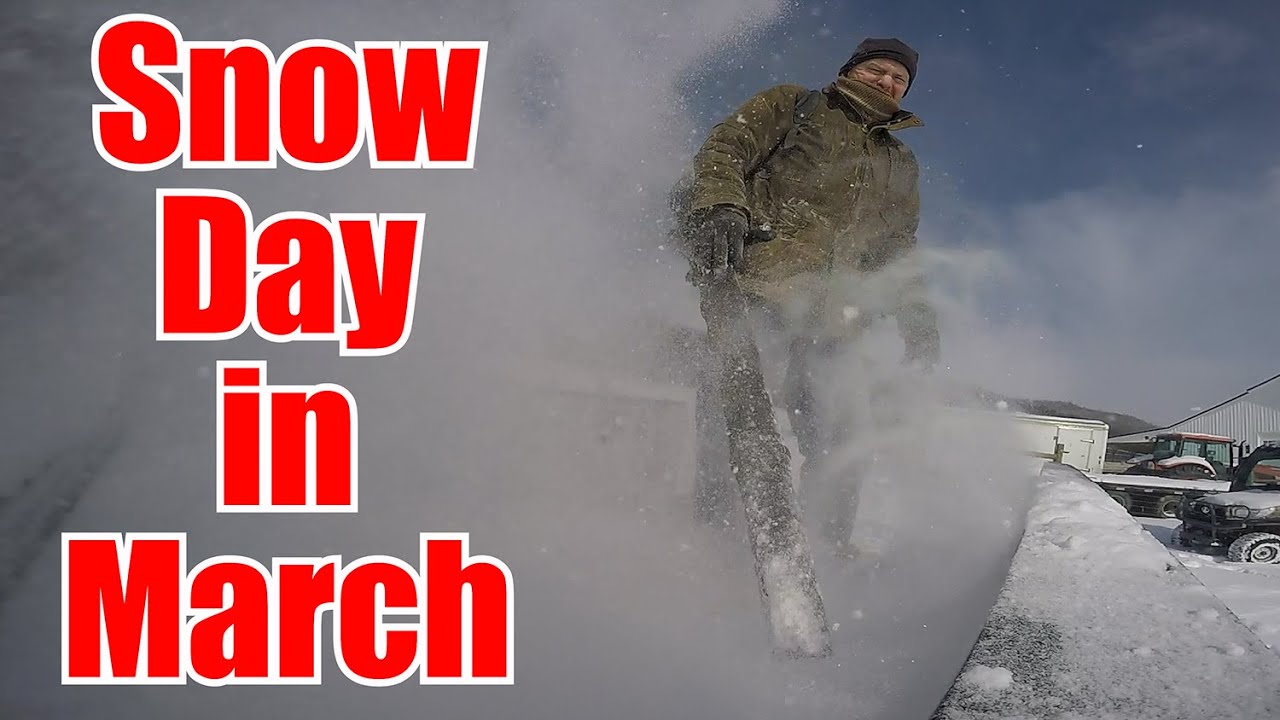 Snow Day in March? - YouTube