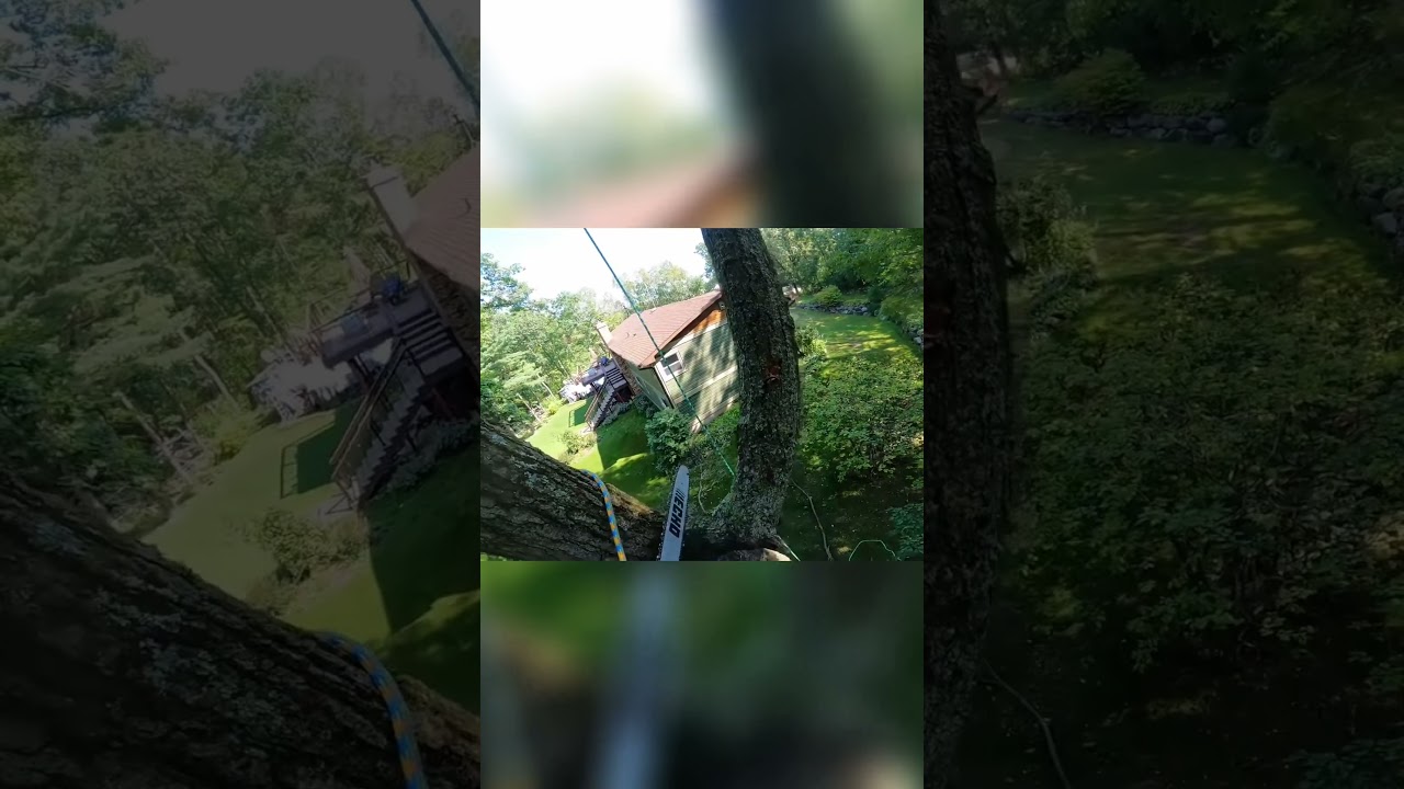 Synthetic Cabling & Chafe Sleeves – Game of Trees