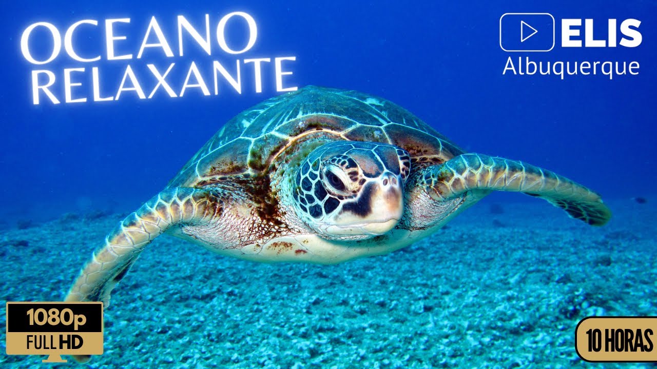 Musica relaxante para o bebê dormir e descansar - YouTube