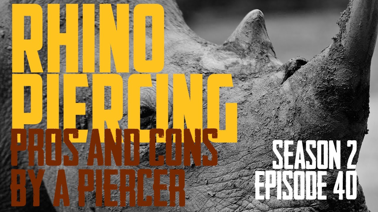 Rhino Piercing Pros & Cons & Everything Else by a Piercer S02 EP40 ...